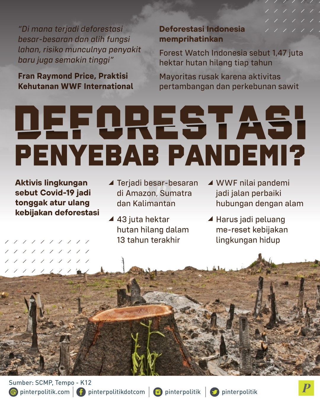 Deforestasi Penyebab Pandemi? - PinterPolitik.com