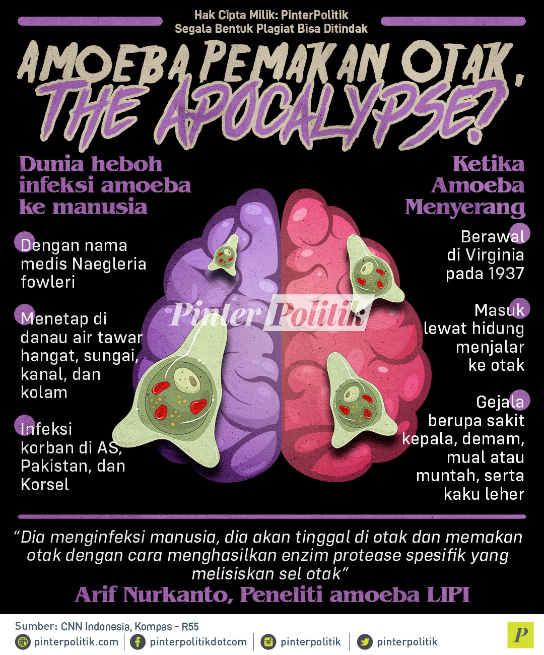 Amoeba Pemakan Otak, The Apocalypse?