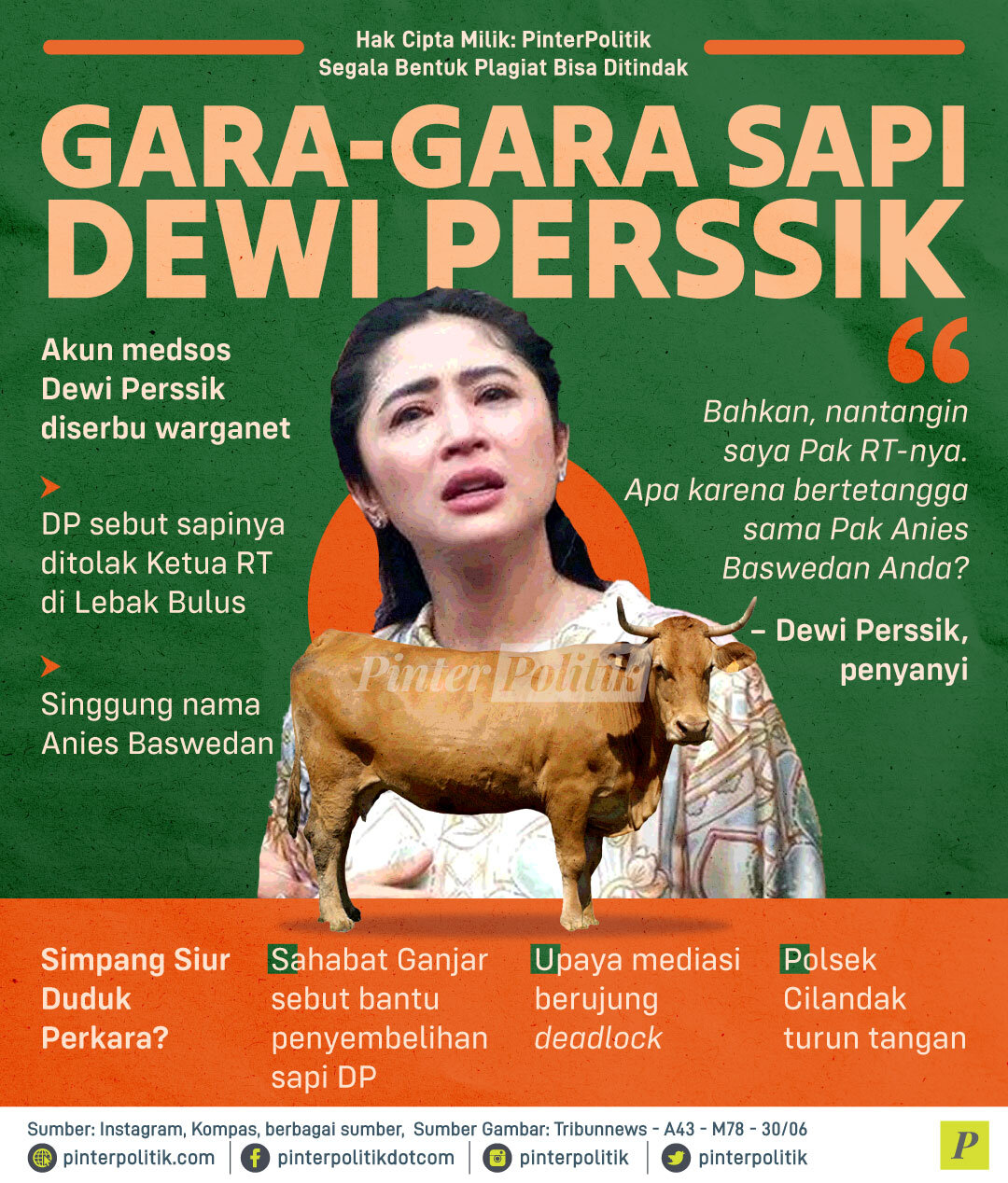 Gara-gara Sapi Dewi Perssik