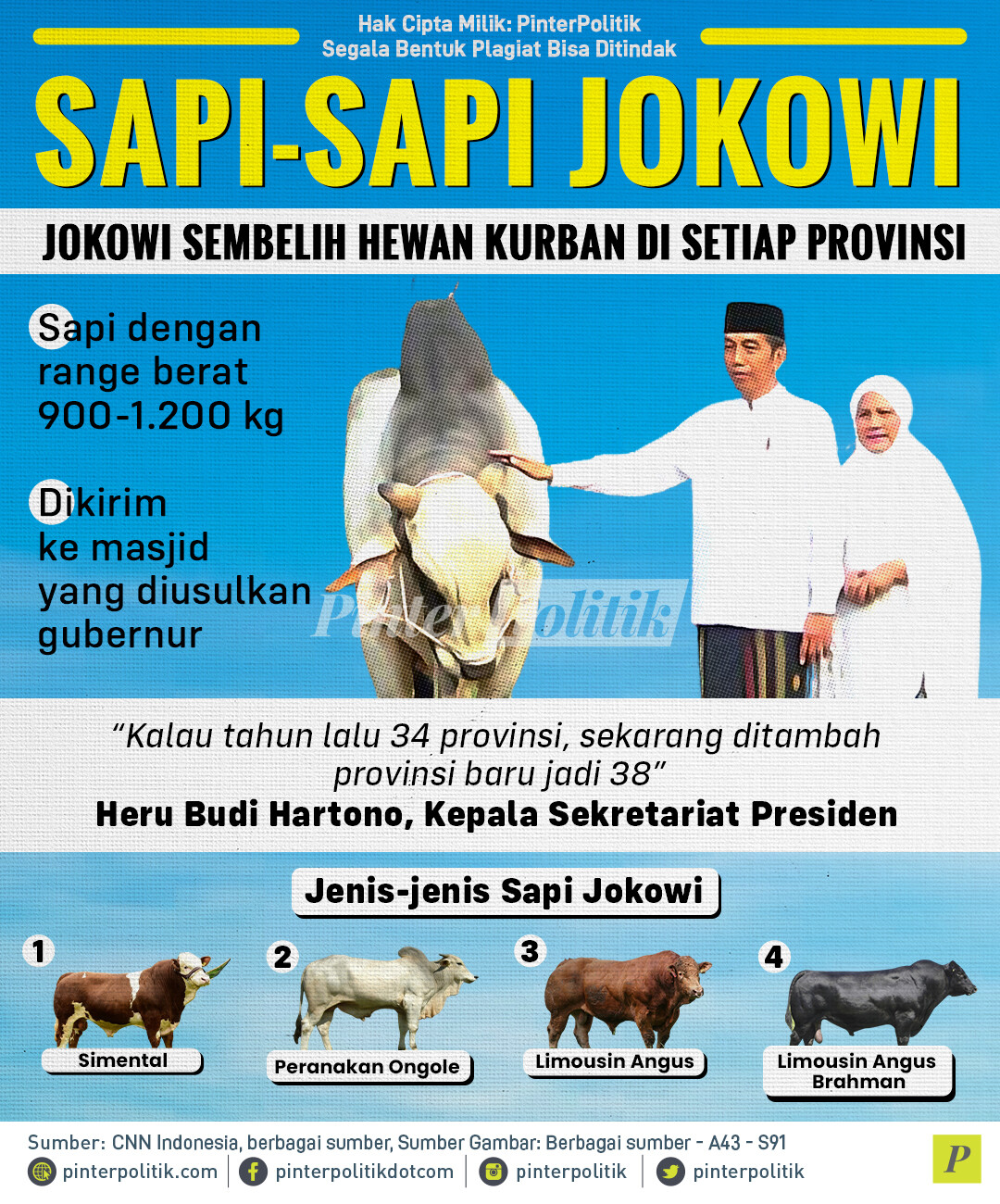 Sapi-sapi Jokowi