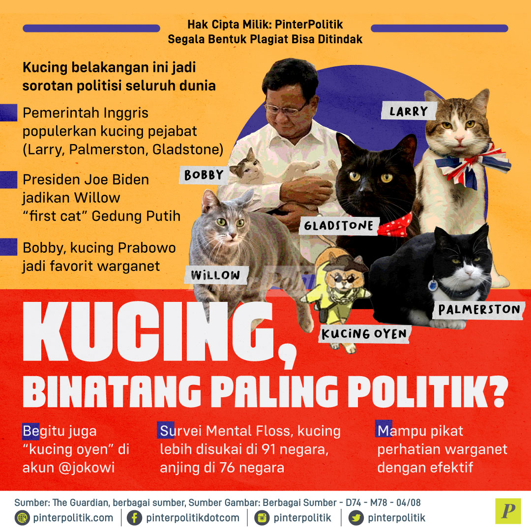 Kucing, Binatang Paling Politik?