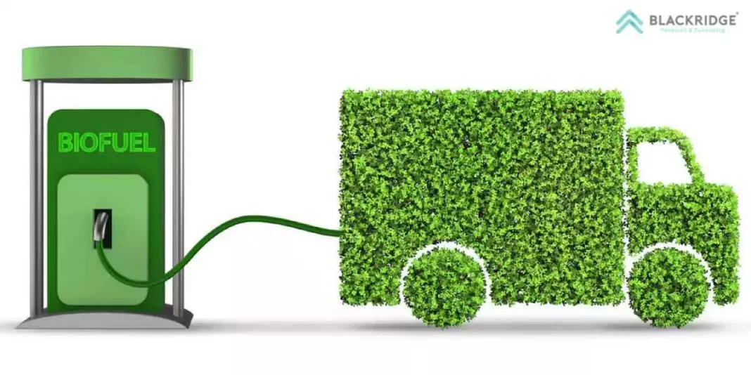 Keren! Tanaman Ini Bisa Diolah Jadi BBM